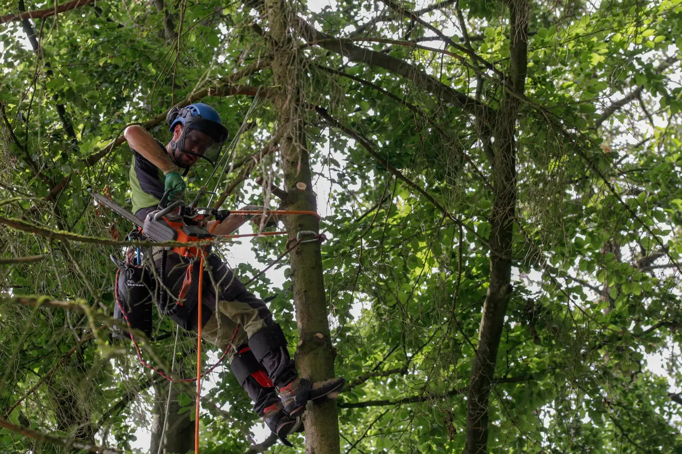 Tree Climbing Brisbane | Expert Drone Recovery Services